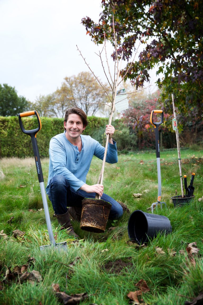 Over ons | Trees for All