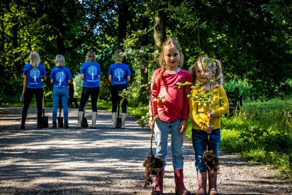 Support Trees for All | Your contribution to a green world | Trees for All