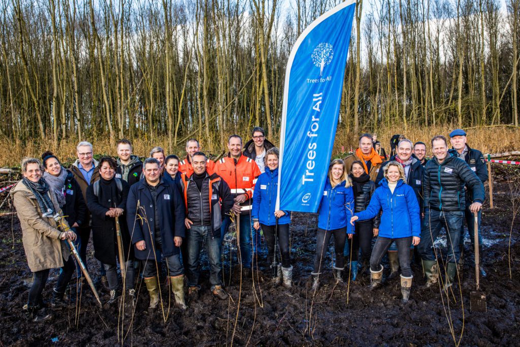 Jobs at Trees for All - Trees for All