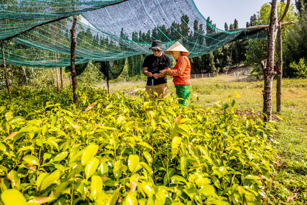 Onze werkwijze: de juiste boom op de juiste plek | Trees for All