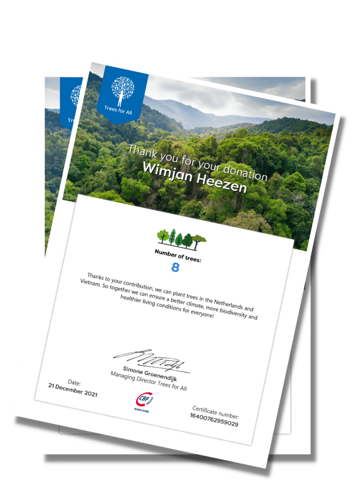 Plant a tree | For a better climate | Trees for All