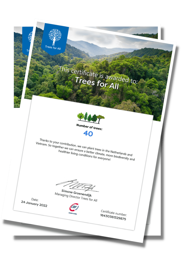 Plant a tree with your company | For a better climate | Trees for All