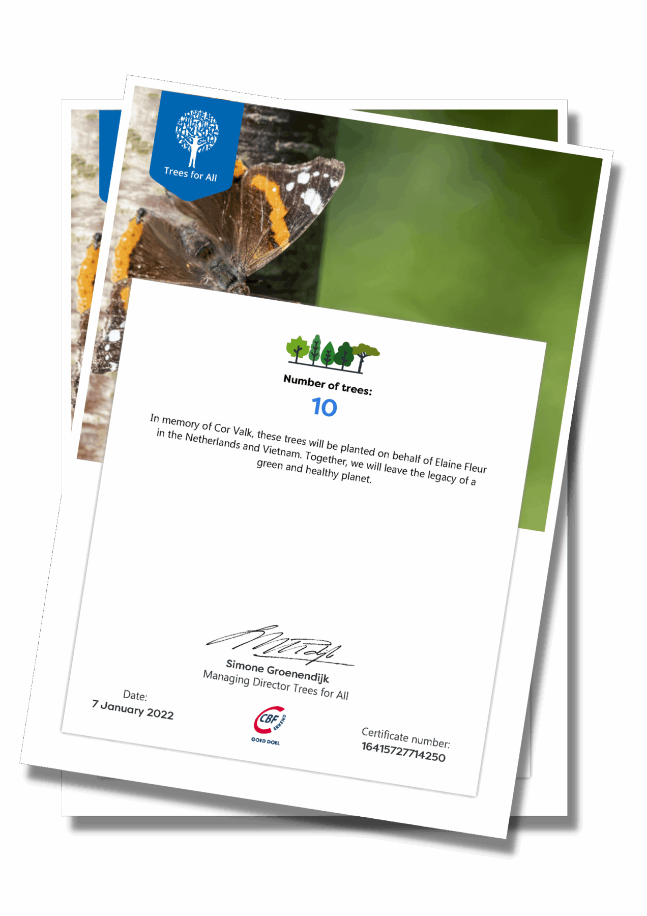 Plant a tree for remembrance | Trees for All