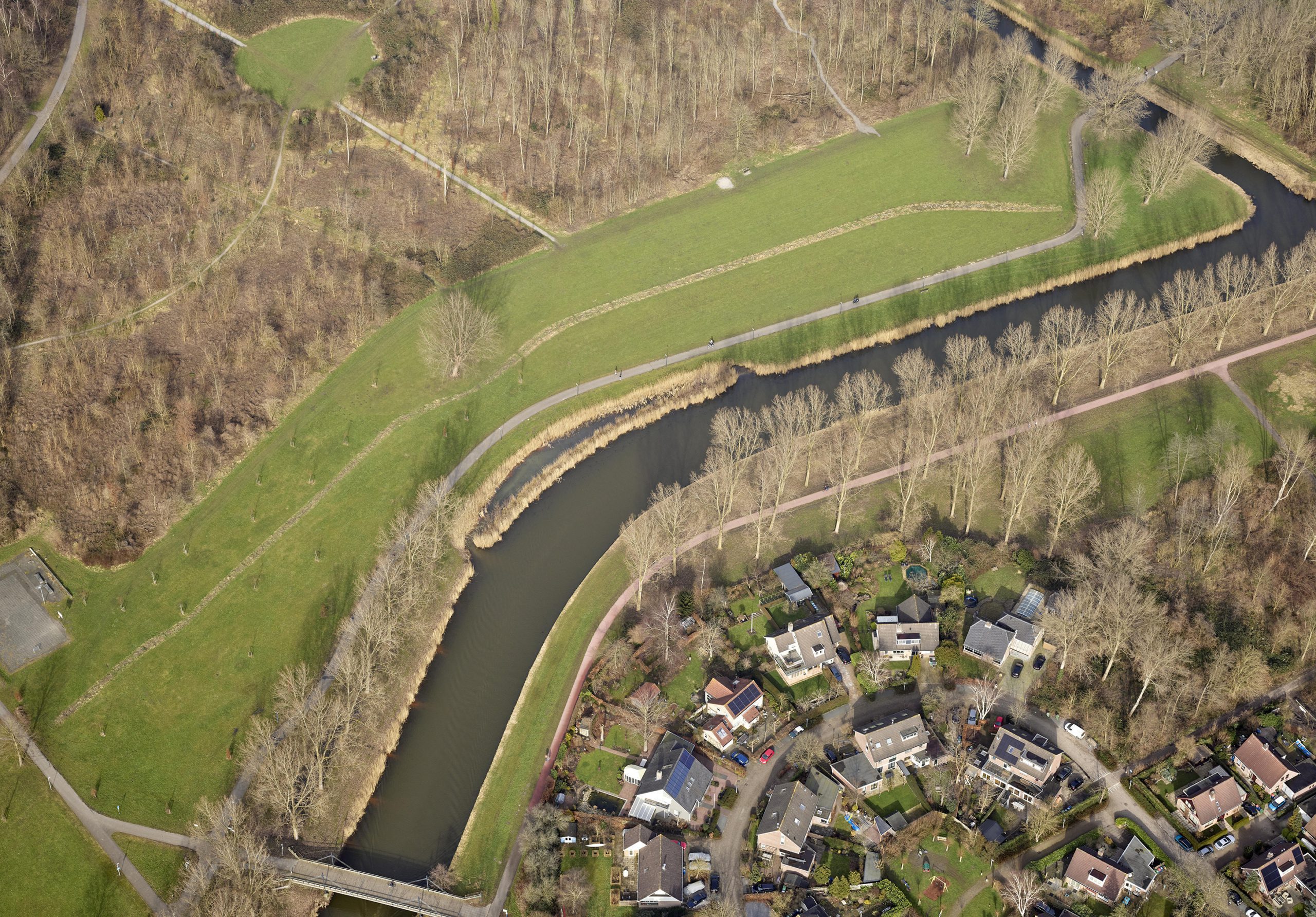 Vergroening van de gemeente Almere | Plant mee | Trees for All