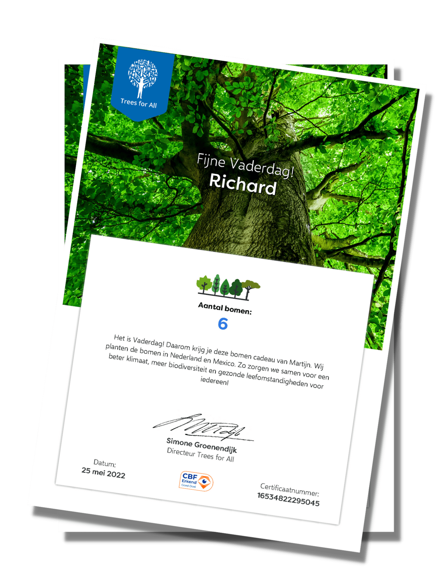 Vaderdag 2024: Geef een boom cadeau | Trees for All