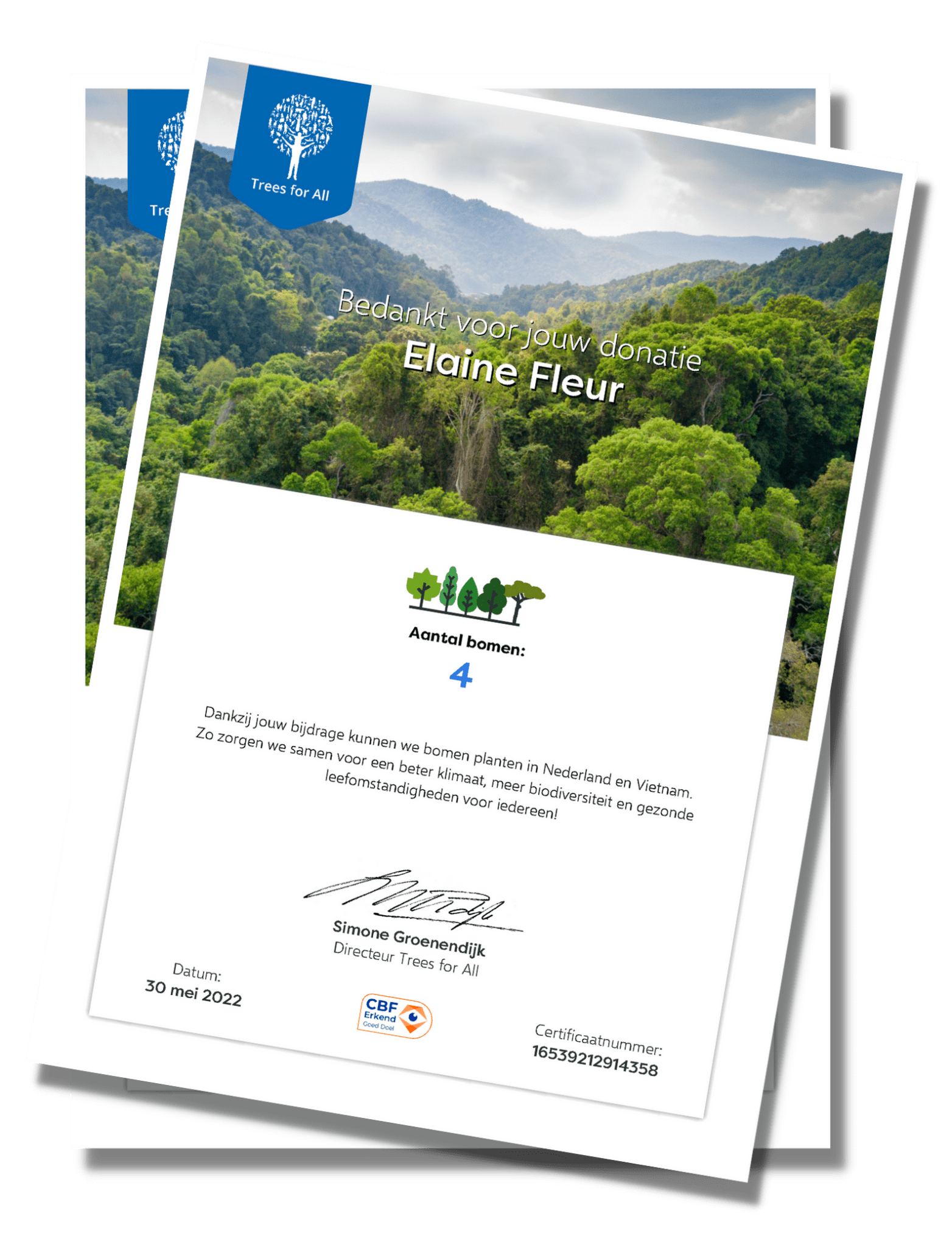 Plant een boom | Voor een beter klimaat | Trees for All