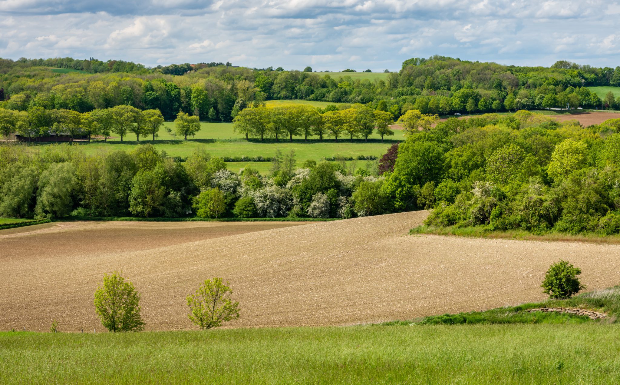 Hoogleraar Louise Vet over het belang van landschapselementen