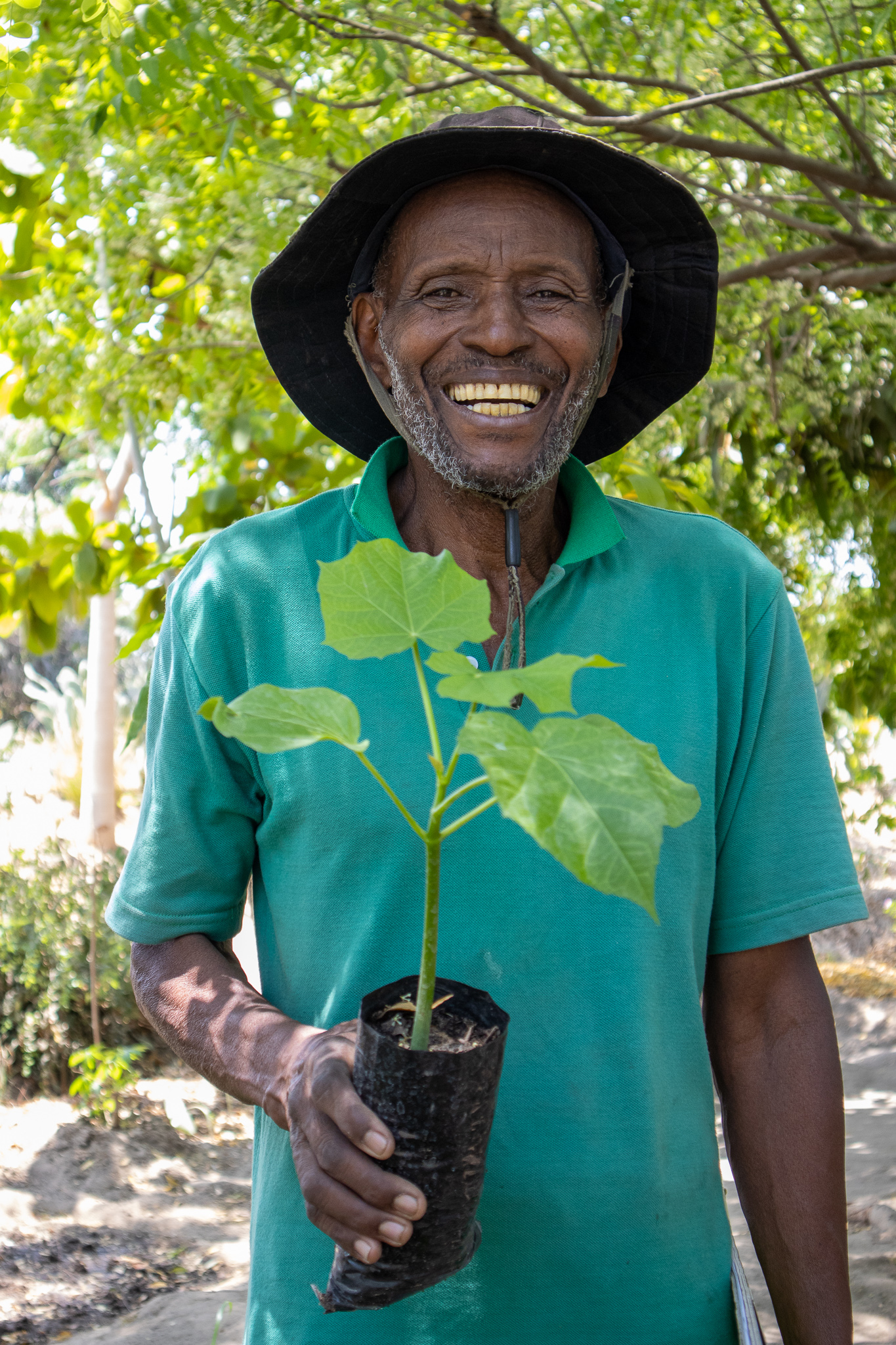 Nieuws uit ons project in Madagaskar - Trees for All
