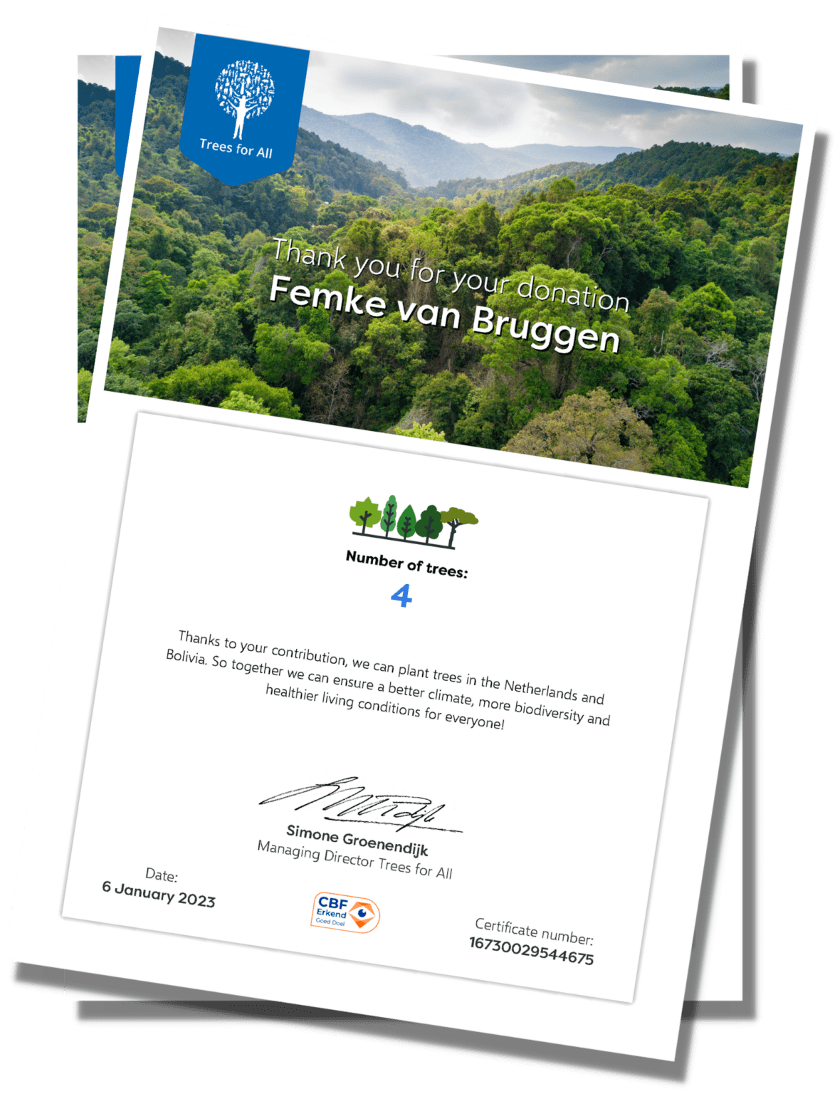 Plant a tree | For a better climate | Trees for All