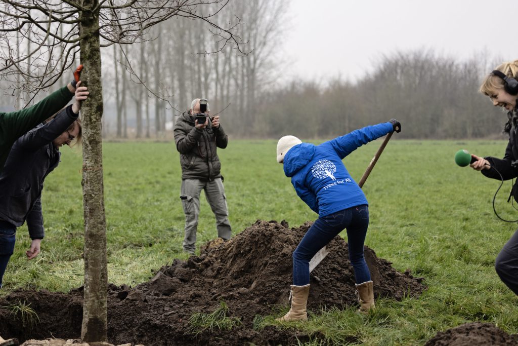 100.000ste boom geplant in Groene Woud | Trees for All