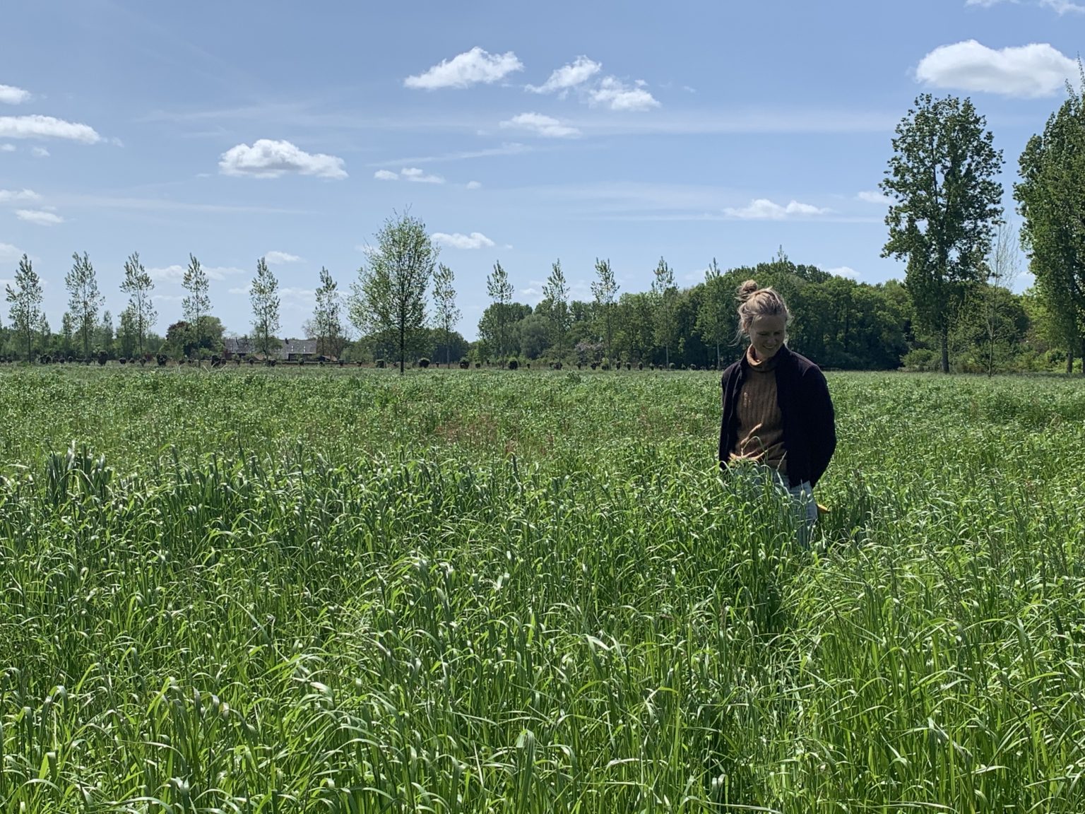 Het Groene Woud groeit en bloeit: resultaten 2022-2023 - Trees for All