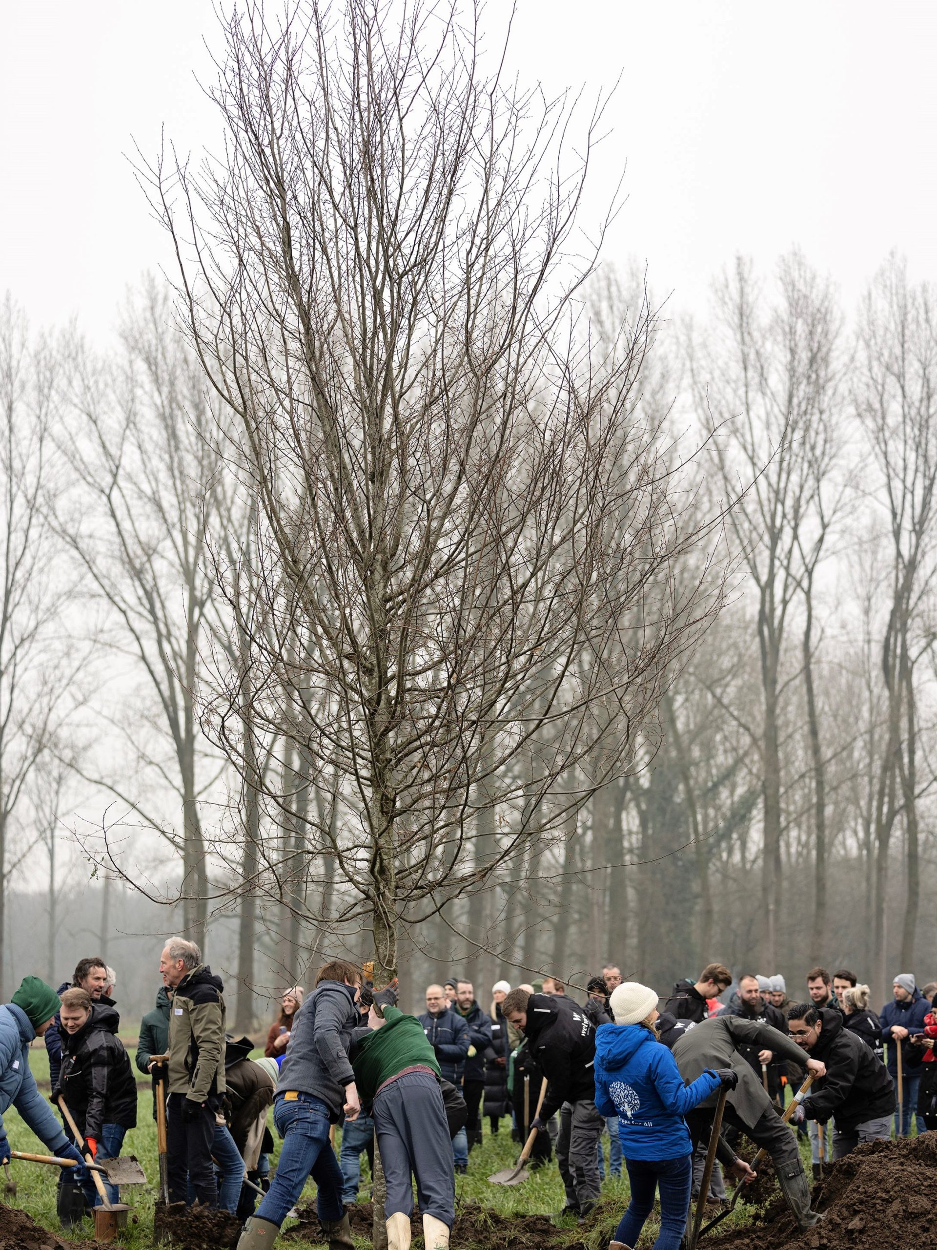 Het Groene Woud groeit en bloeit: resultaten 2022-2023 - Trees for All