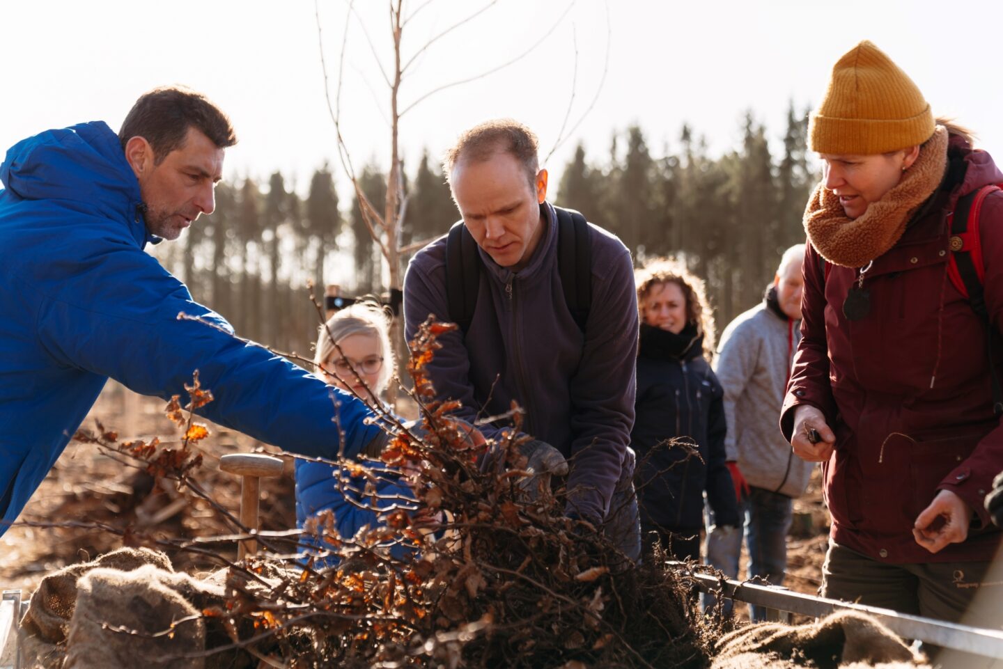 Vandebron is planting trees with Trees for All