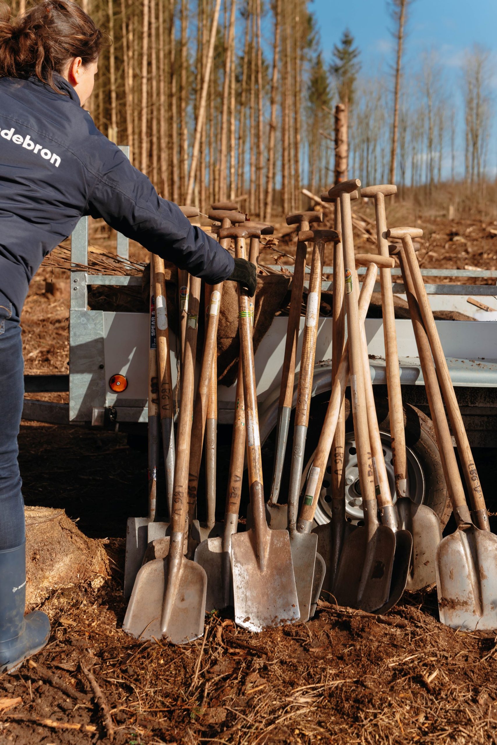 Vandebron plant bomen met Trees for All