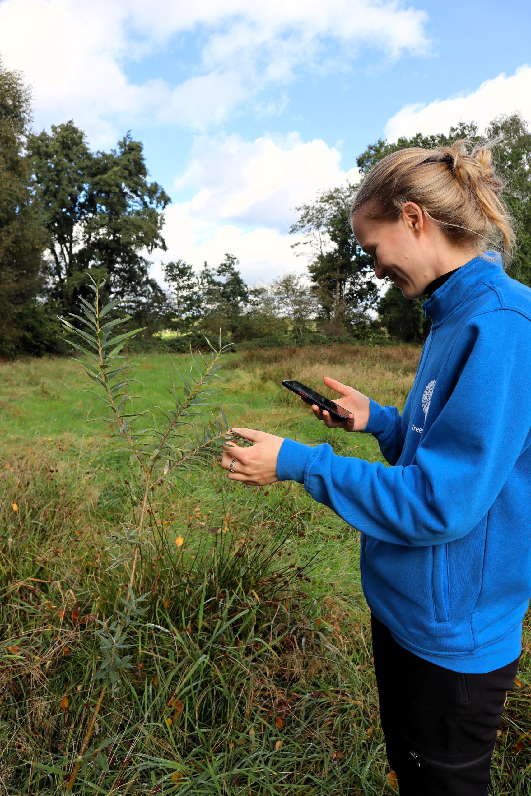 Reutum is ruim 16.000 bomen rijker: resultaten 2022-2023 - Trees for All