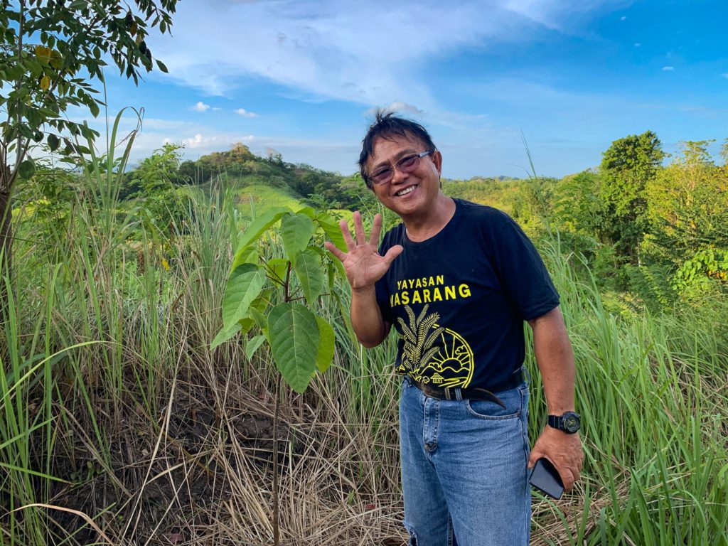 From grassland to forest in just three years on Sulawesi - Trees for All