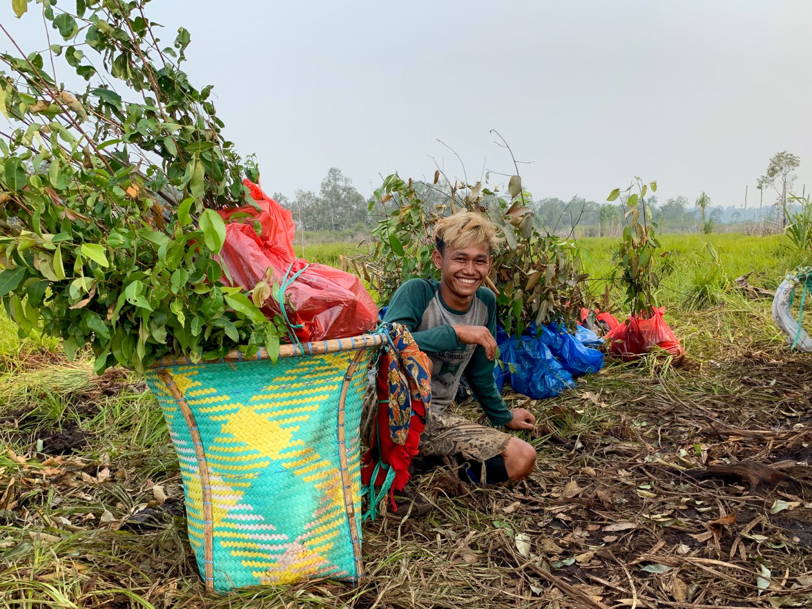 Unique peat swamp forest restoration in Borneo