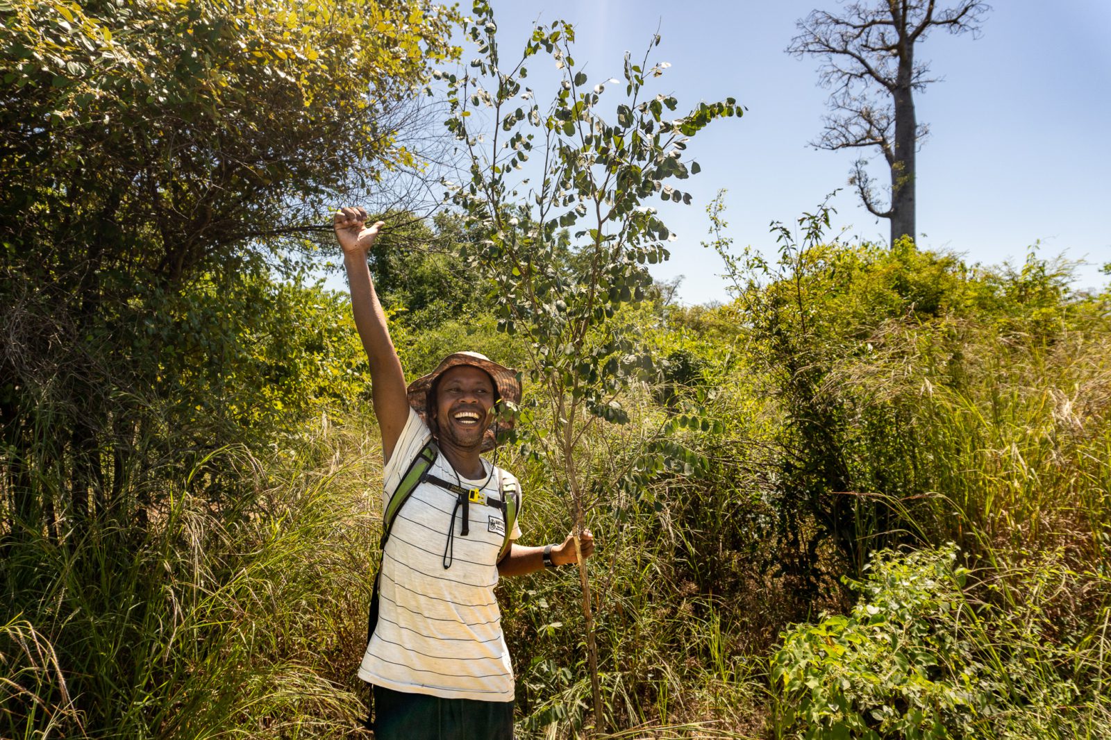 Op weg naar bosherstel op Madagaskar: wij bezochten ons project - Trees for All