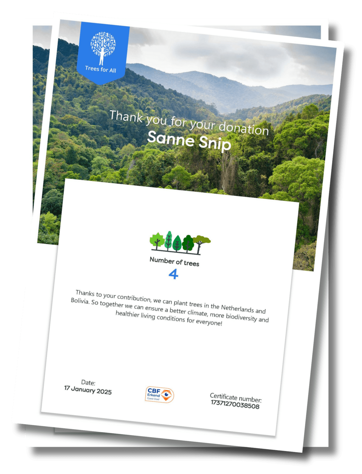 Plant a tree | For a better climate | Trees for All