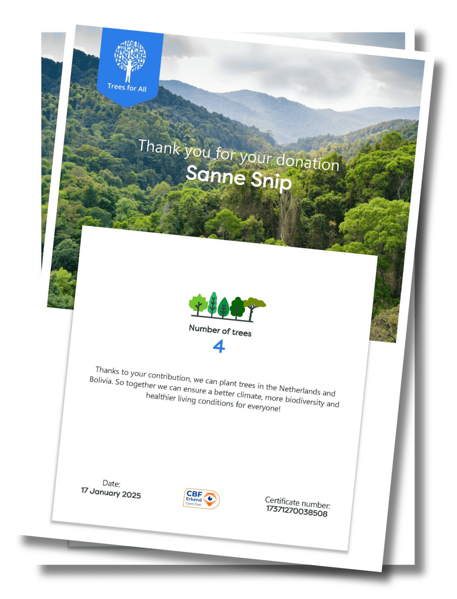 Plant a tree | For a better climate | Trees for All