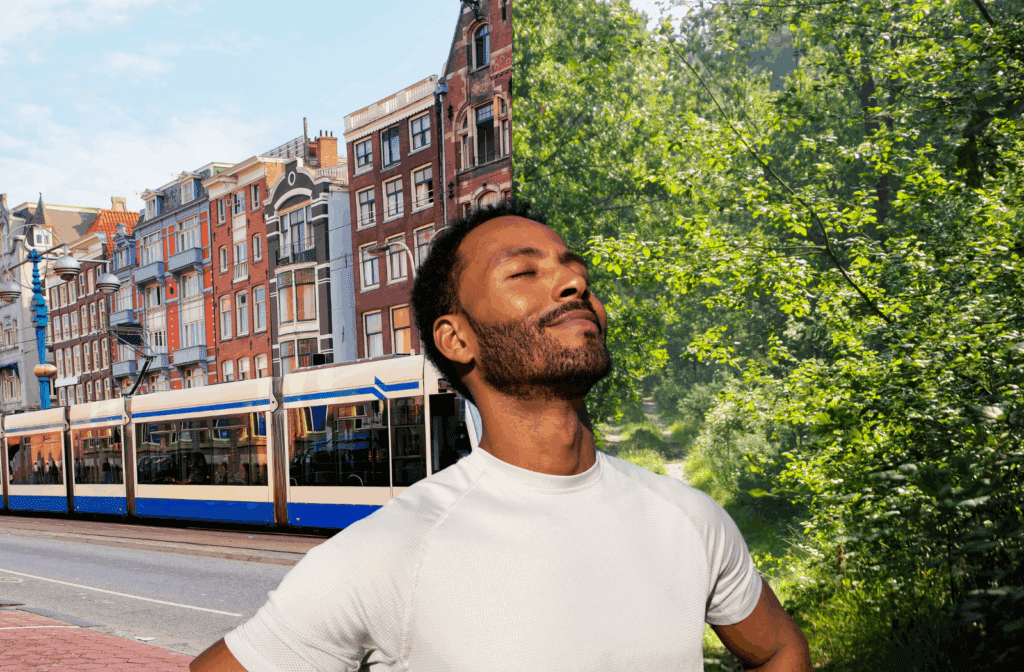 Plant your tree in and around Amsterdam - Trees for All