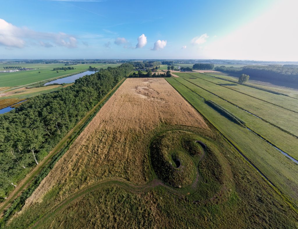 Zo groeit ons Jubileumbos in Brabant: resultaten 2024-2025 - Trees for All