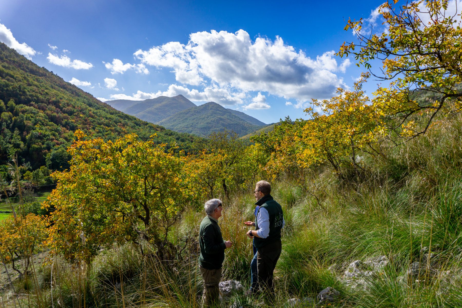 Forest restoration in Esperia (Italy) - Trees for All