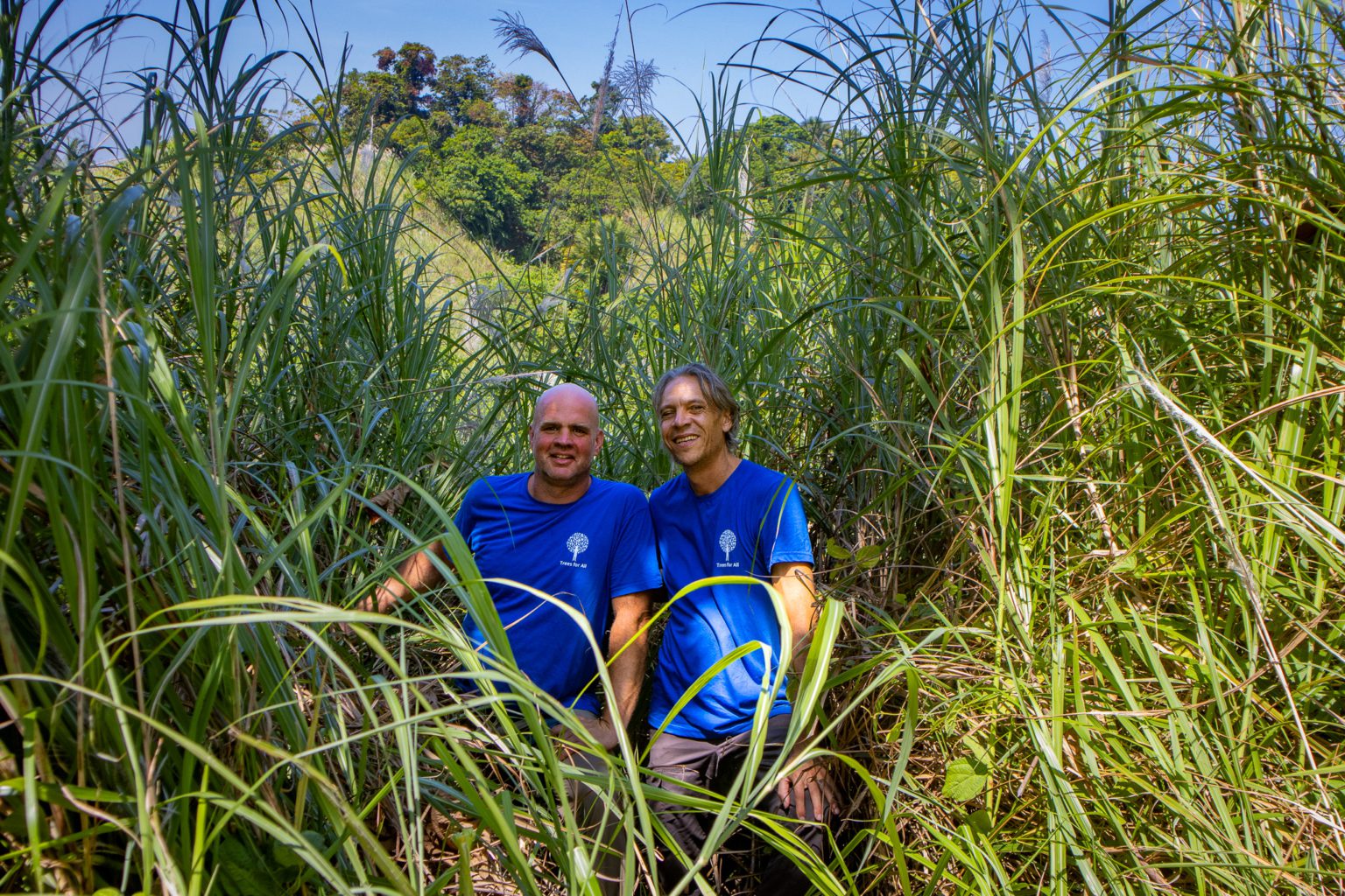 50 hectares of grassland transformed into forest - Trees for All